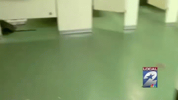 Locals GIFs - Get the best gif on GIFER