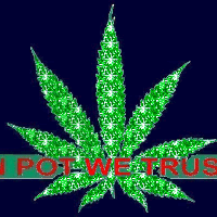 Pot GIFs - Get the best gif on GIFER