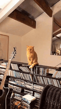 Lisa GIFs - Get the best gif on GIFER