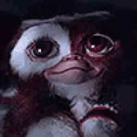 Gizmo GIFs - Get the best gif on GIFER