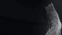 Pivot GIFs - Get the best gif on GIFER