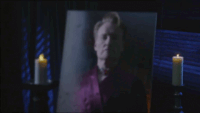 Collared GIFs - Get the best gif on GIFER