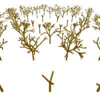 Growth GIFs - Get the best gif on GIFER