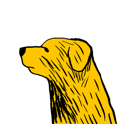Bad dog GIF - Conseguir o melhor gif em GIFER