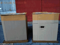 Caja GIFs - Get the best gif on GIFER