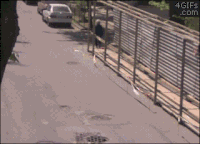 Manhole GIFs - Obtenez le meilleur gif sur GIFER