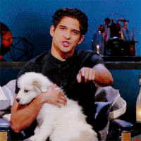 Awe GIFs - Get the best gif on GIFER