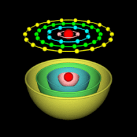 Shell GIFs - Get the best gif on GIFER