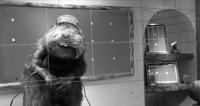 Tracking GIFs - Get the best gif on GIFER