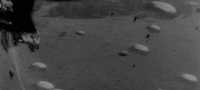 Stuka гифки, анимированные GIF изображения stuka - скачать гиф картинки ...