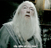 Dumbledore GIFs - Get the best gif on GIFER
