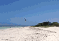 Kite GIFs - Get the best gif on GIFER