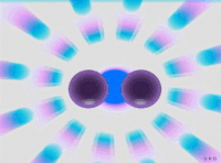 Uwe GIFs - Get the best gif on GIFER