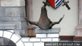 Facteur GIFs - Obtenez le meilleur gif sur GIFER