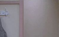 Manscaping GIFs - Get the best gif on GIFER