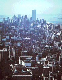 Trade GIFs - Get the best gif on GIFER