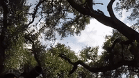 Launcher GIFs - Get the best gif on GIFER