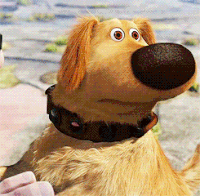 Goodness GIFs - Get the best gif on GIFER