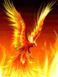Phoenix GIFs - Get the best gif on GIFER