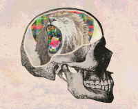 Brain GIFs - Get the best gif on GIFER