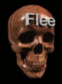 Flee GIFs - Get the best gif on GIFER