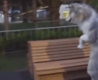 Workday GIFs - Get the best gif on GIFER