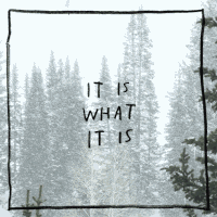 Focused GIFs - Get the best gif on GIFER