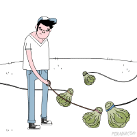 Cabbage GIFs - Get the best gif on GIFER