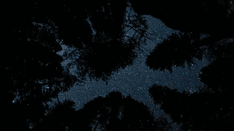 Oscuro GIFs - Get the best gif on GIFER