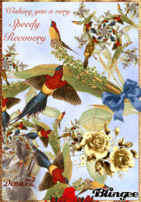 Recovery GIFs - Get the best gif on GIFER