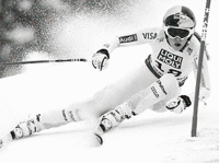 Alpin GIFs - Get the best gif on GIFER