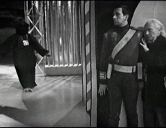 Walz GIF - Conseguir o melhor gif em GIFER