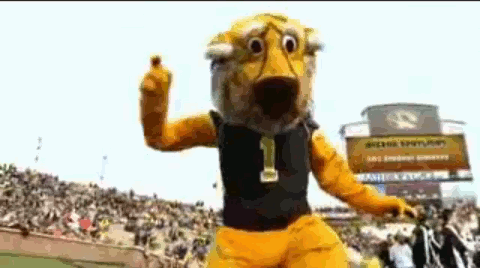 Mizzou football GIF - Conseguir o melhor gif em GIFER