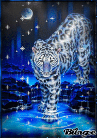 Blingee GIFs - Get the best gif on GIFER