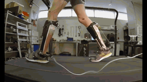 Robotic evolution GIF - Conseguir o melhor gif em GIFER