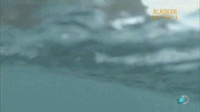 Discovery GIFs - Get the best gif on GIFER