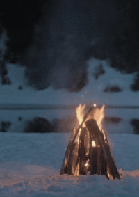 Bonfire GIFs - Get the best gif on GIFER