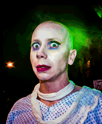 Drag GIFs - Get the best gif on GIFER