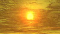 Sunlight GIFs - Get the best gif on GIFER