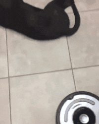 Stamp GIFs - Get the best gif on GIFER