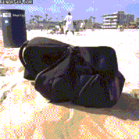 Strand GIFs - Get the best gif on GIFER