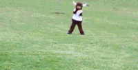 Yak GIFs - Get the best gif on GIFER