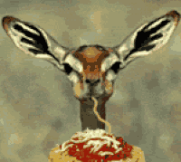 Chewing food GIFs - Get the best gif on GIFER