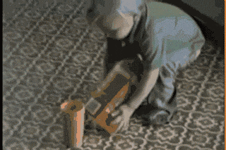 Amuses GIFs - Get the best gif on GIFER