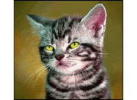 Pfft GIFs - Get the best gif on GIFER