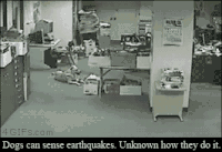 Unexplained GIFs - Get the best gif on GIFER