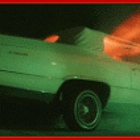 Curator GIFs - Get the best gif on GIFER