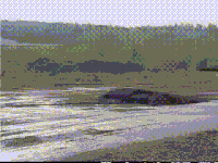 Midair GIFs - Get the best gif on GIFER