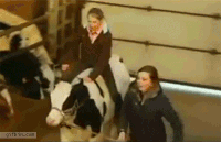 Hurdle GIFs - Get the best gif on GIFER