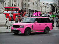 Rover GIFs - Get the best gif on GIFER